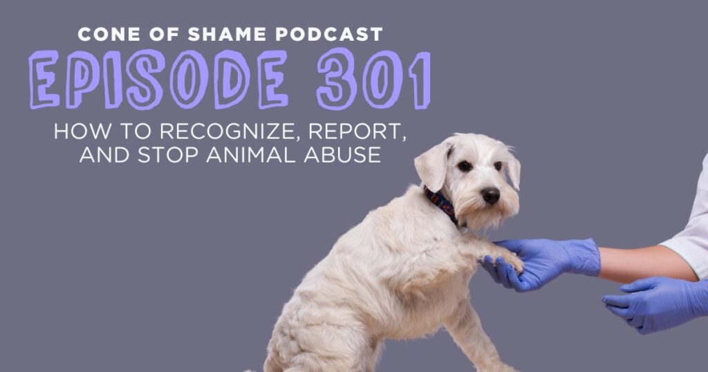 How to Recognize, Report, and Stop Animal Abuse