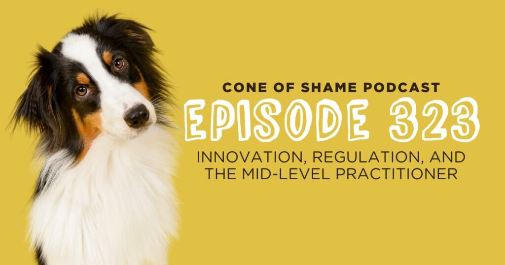 Innovation, Regulation, and the Mid-Level Practitioner