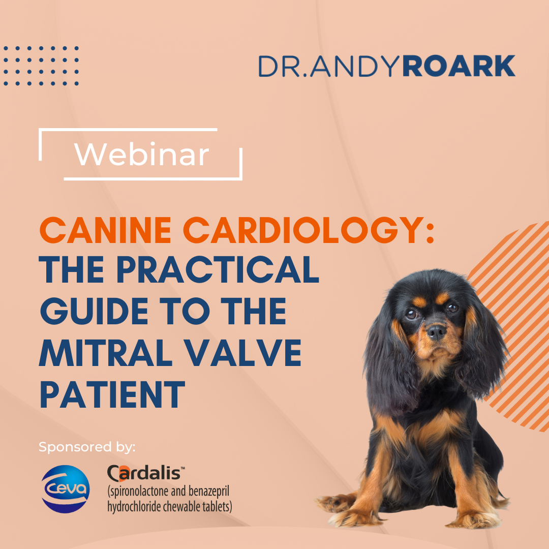Upcoming Webinars