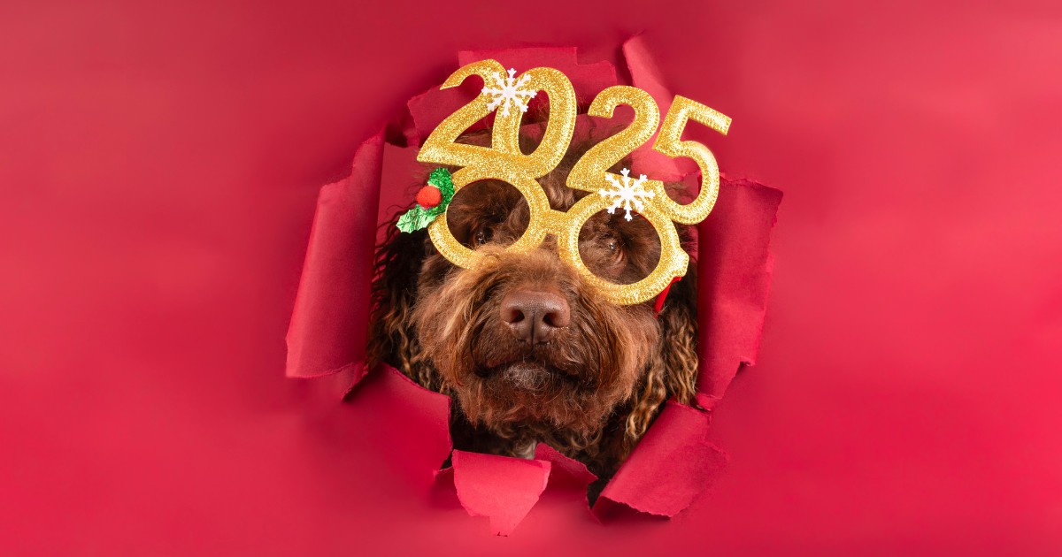 Where is Vet Med Going in 2025?