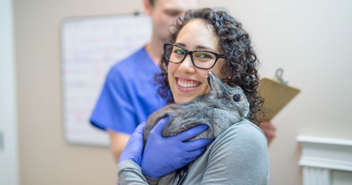 The Evolving Vet Tech Profession