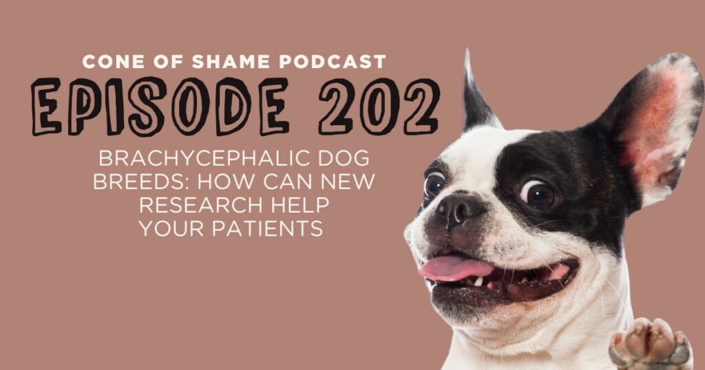 Brachycephalic Dog Breeds: How Can New Research Help Your Patients