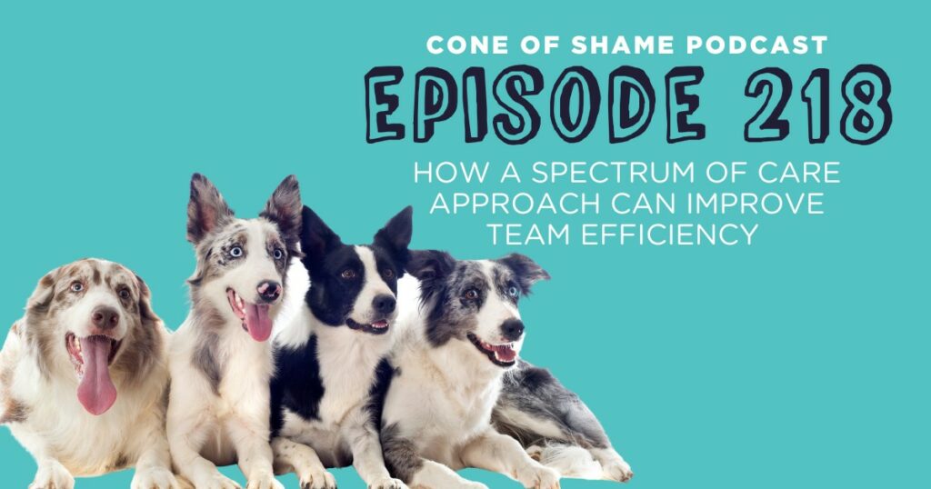 How a Spectrum of Care Approach Can Improve Team Efficiency