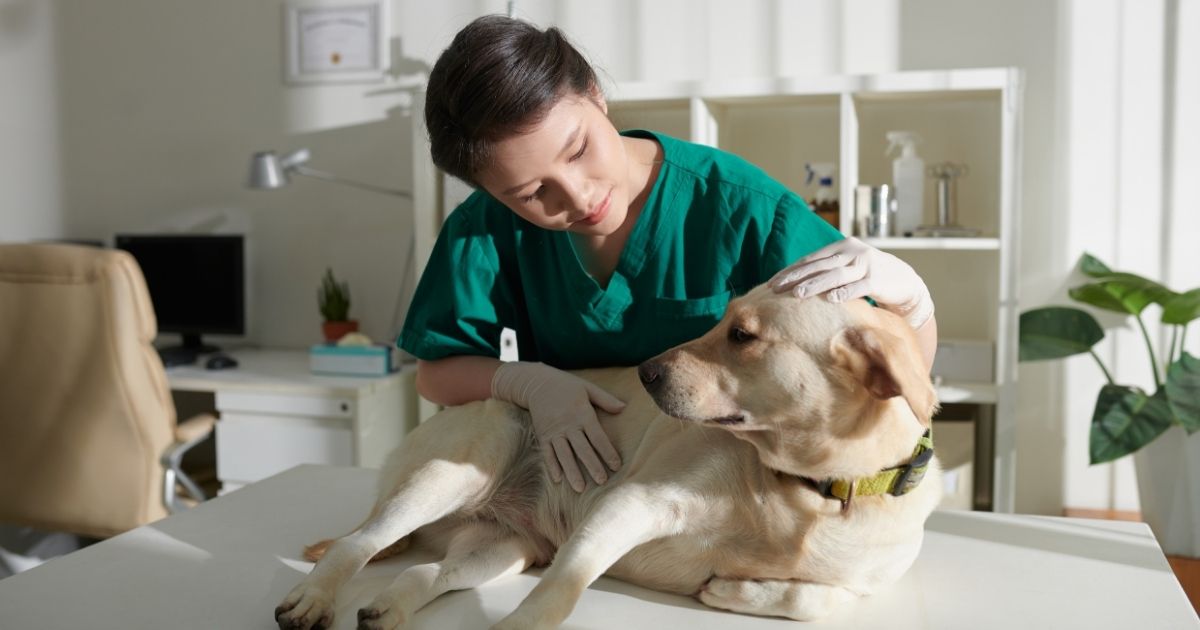 Are We Morally Breaking Our Technicians?